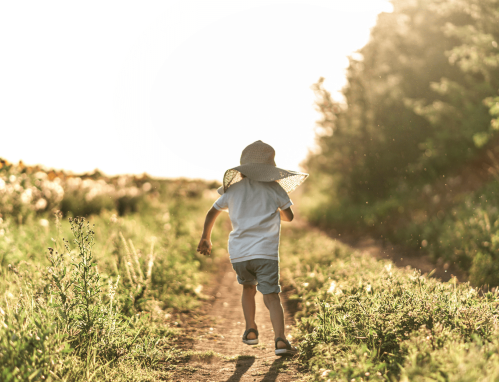 Ancestral Diets: The Importance of Traditional First Nations Food